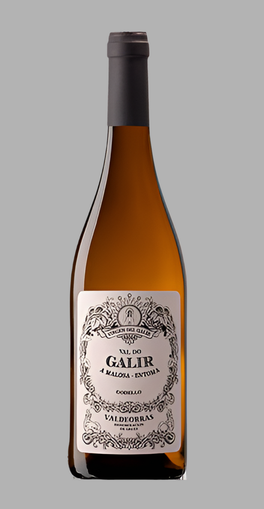 Virgen del Galir Val do Galir Godello, 2023 – Vintage 38 Wine Merchant
